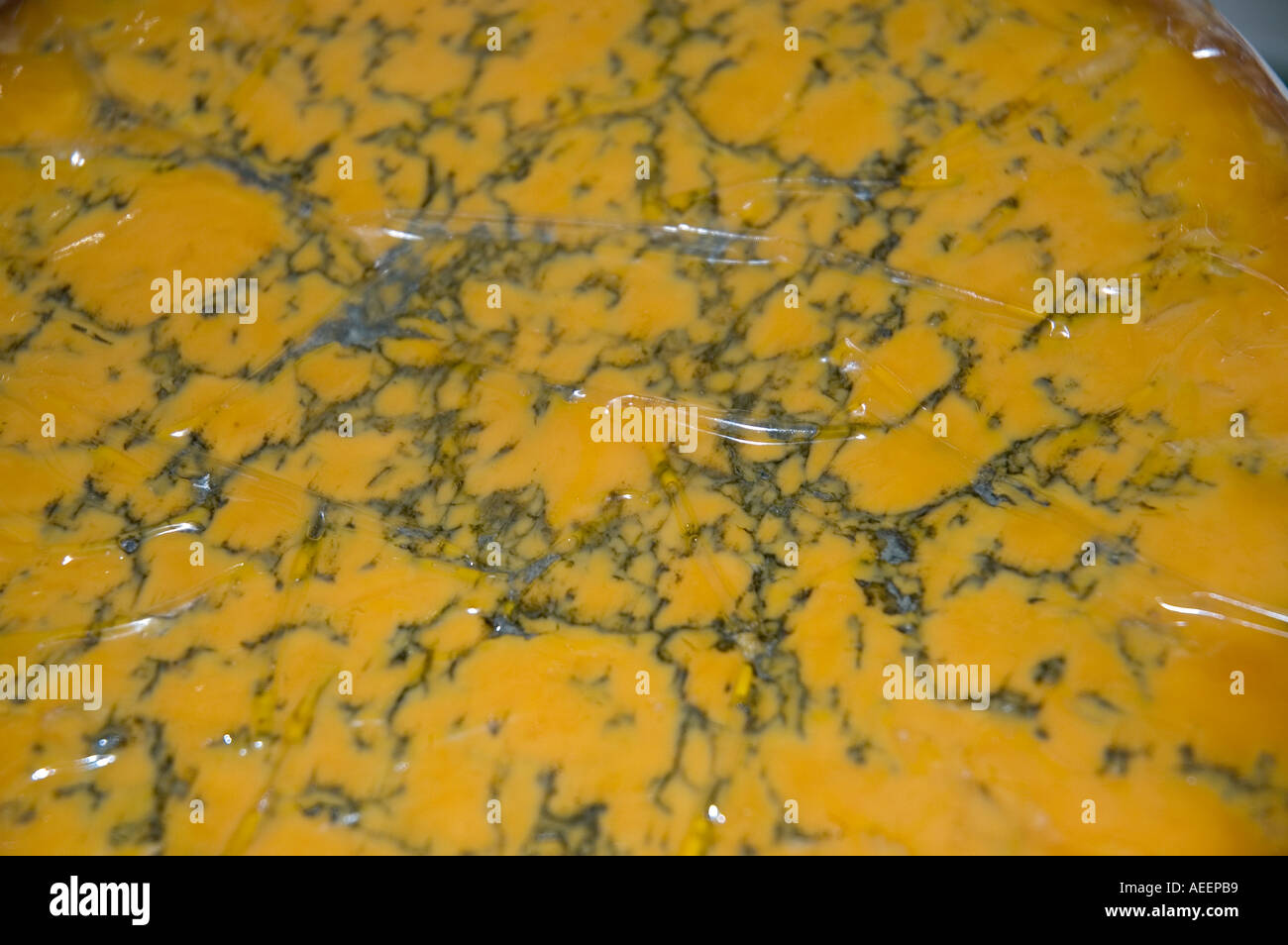 Harrogate blue cheese hi-res stock photography and images - Alamy