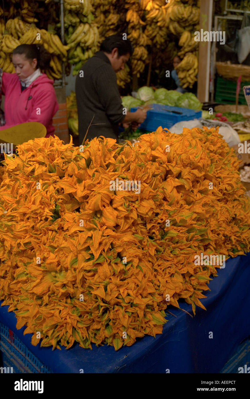Flor de calabaza hi-res stock photography and images - Alamy