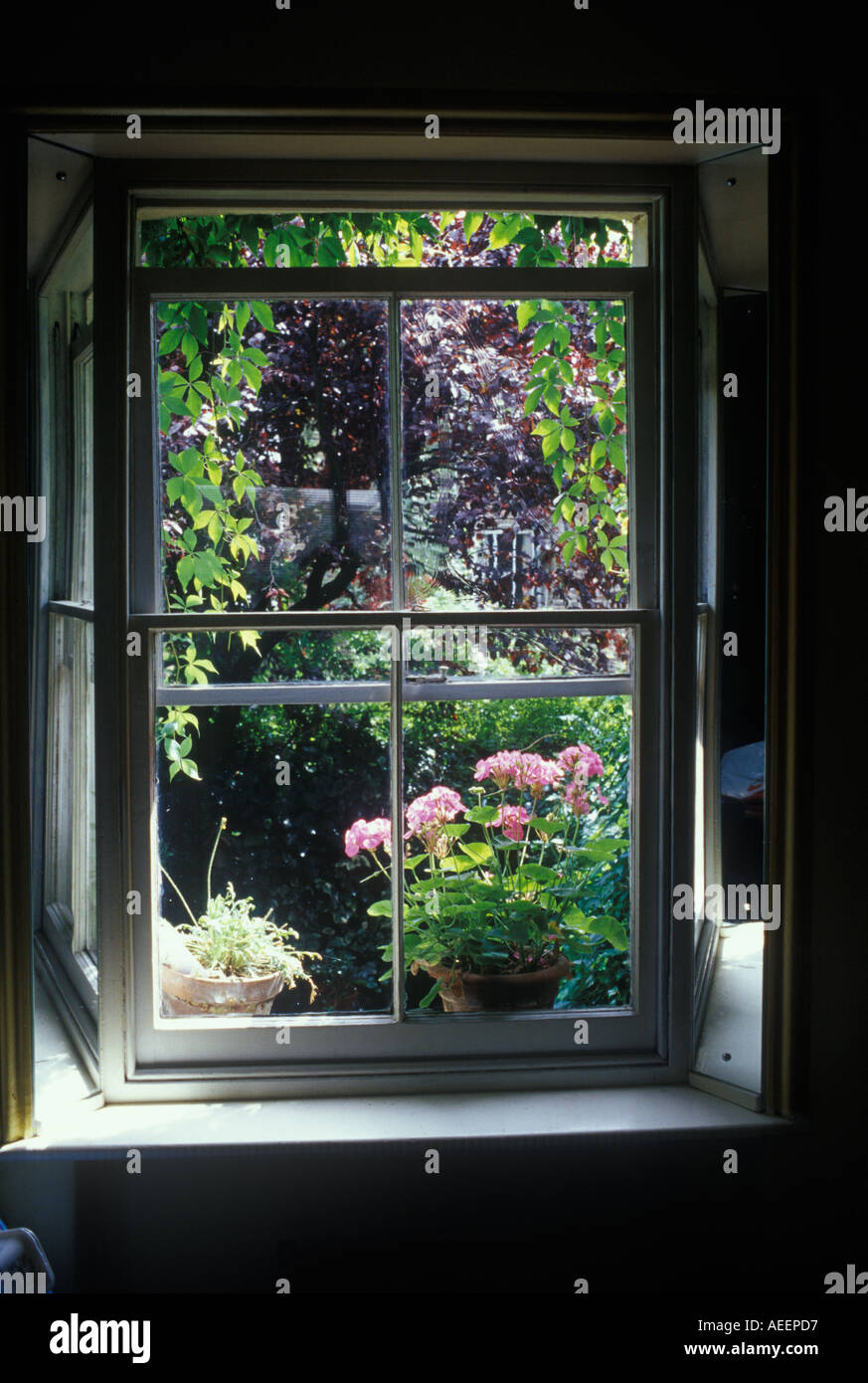 Looking out through London terrace house Victorian sash window England ...