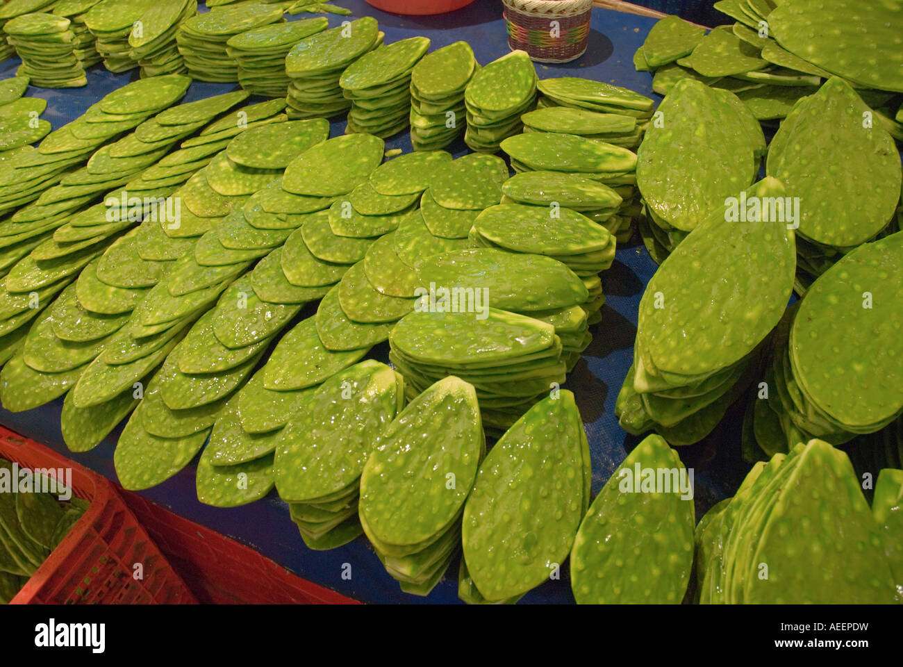 Nopales or edible cactus pads on sale at La Merced market Stock Photo - Alamy