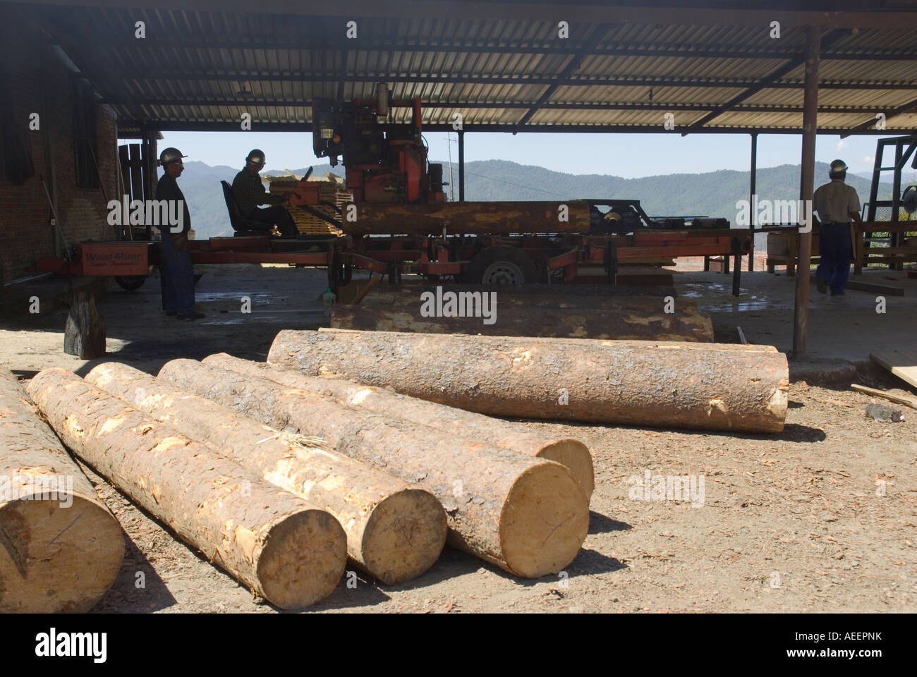 Indian Sawmill High Resolution Stock Photography and Images - Alamy