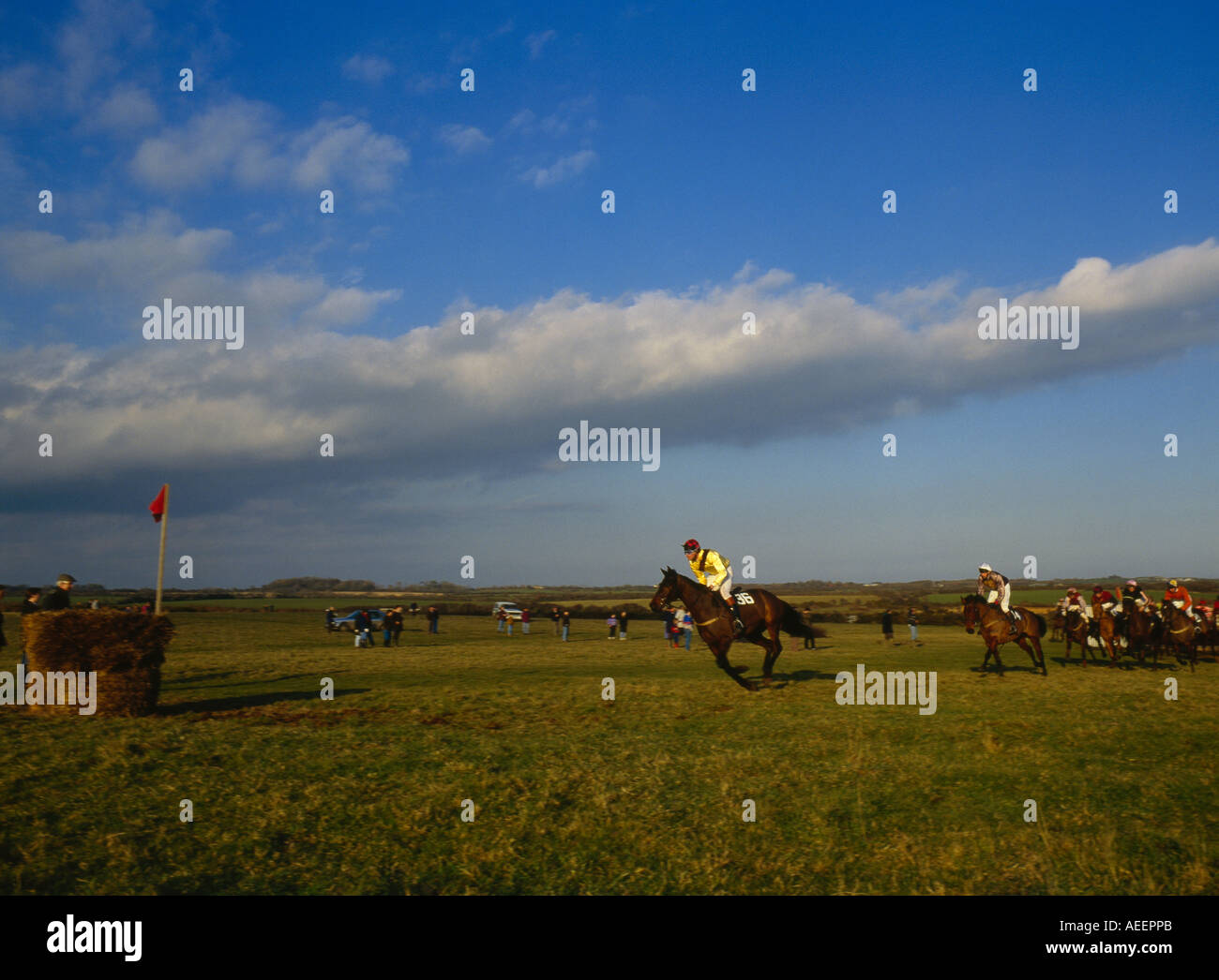 point to point horse race racing Stock Photo - Alamy