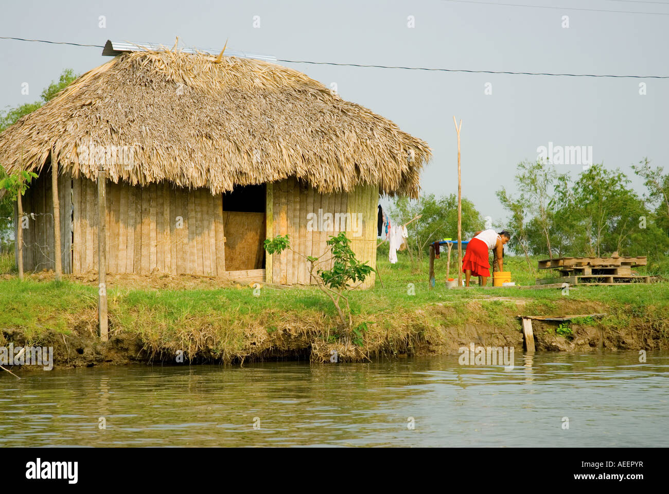 Jungle tabasco hi-res stock photography and images - Alamy