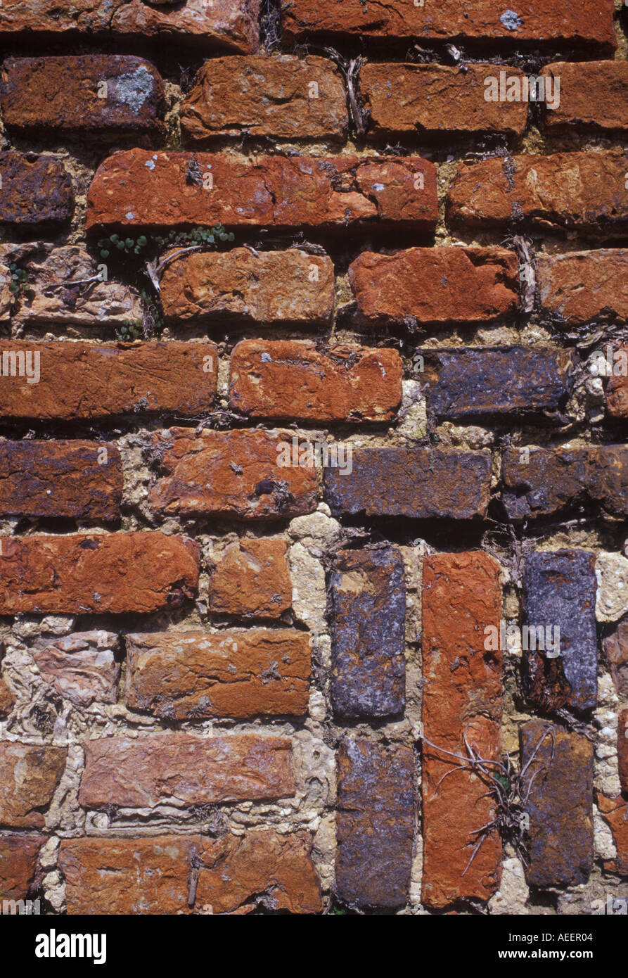 Witchampton Dorset England UK detail brickwork in 16th century garden ...