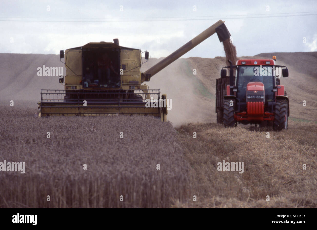 Combine harvesters tractors on field hi-res stock photography and ...