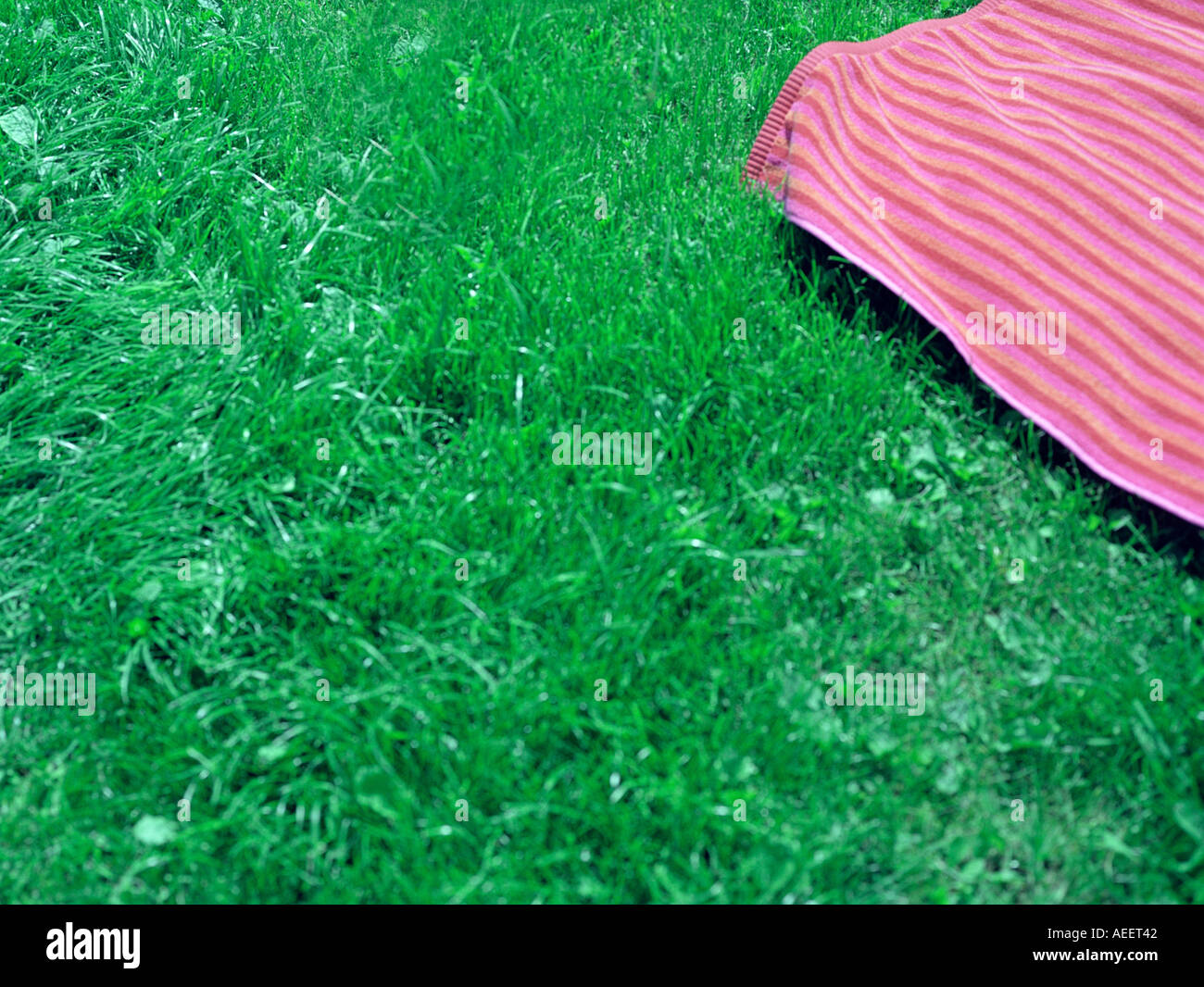 colorful pink striped towel on grass ready for sunbathing Stock Photo ...
