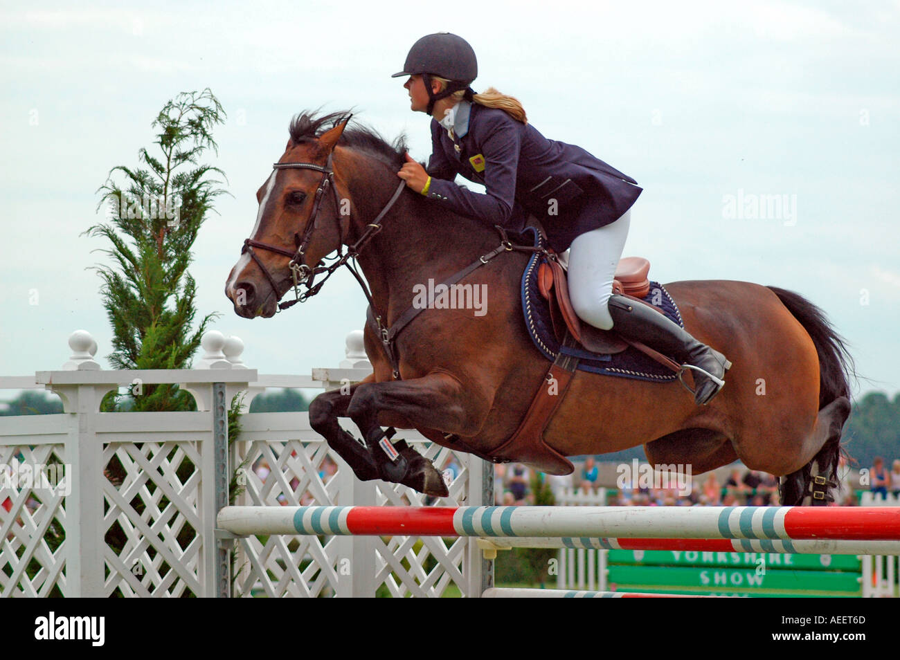 Show jumping competition at the Great Yorkshire Show, Harrogate ...