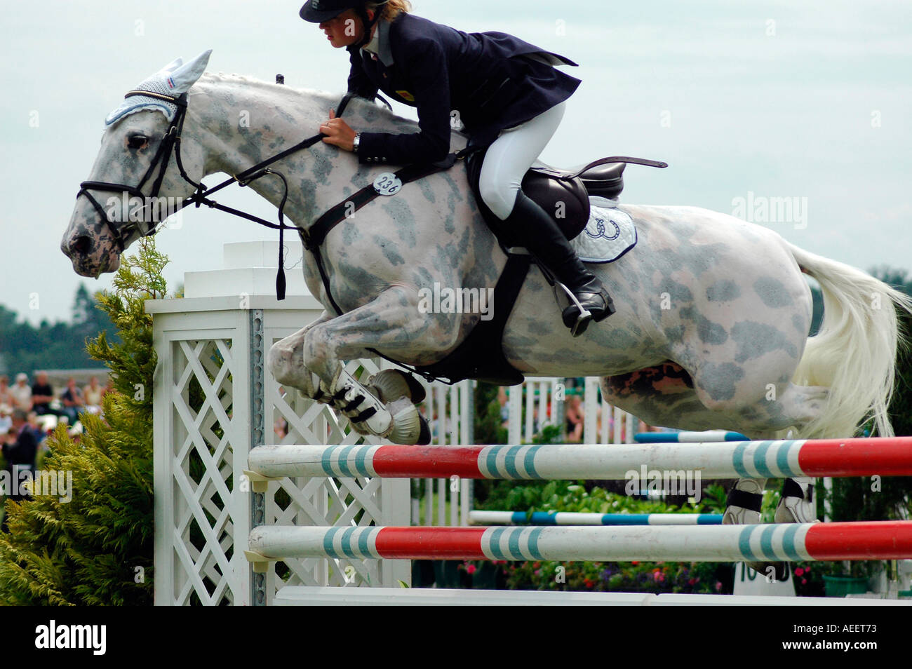 Show jumping competition at the Great Yorkshire Show, Harrogate ...