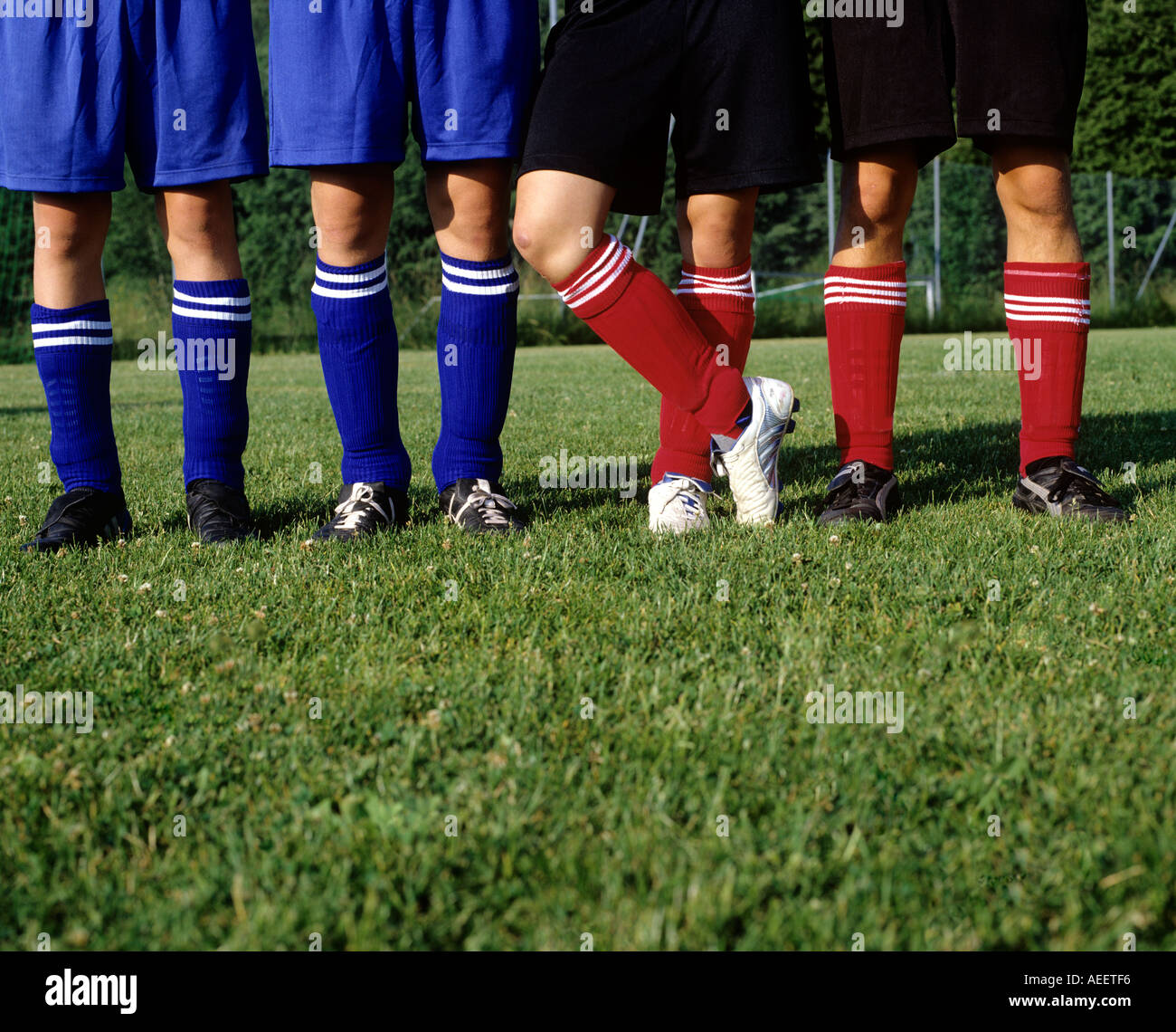 13 legs hi-res stock photography and images - Alamy