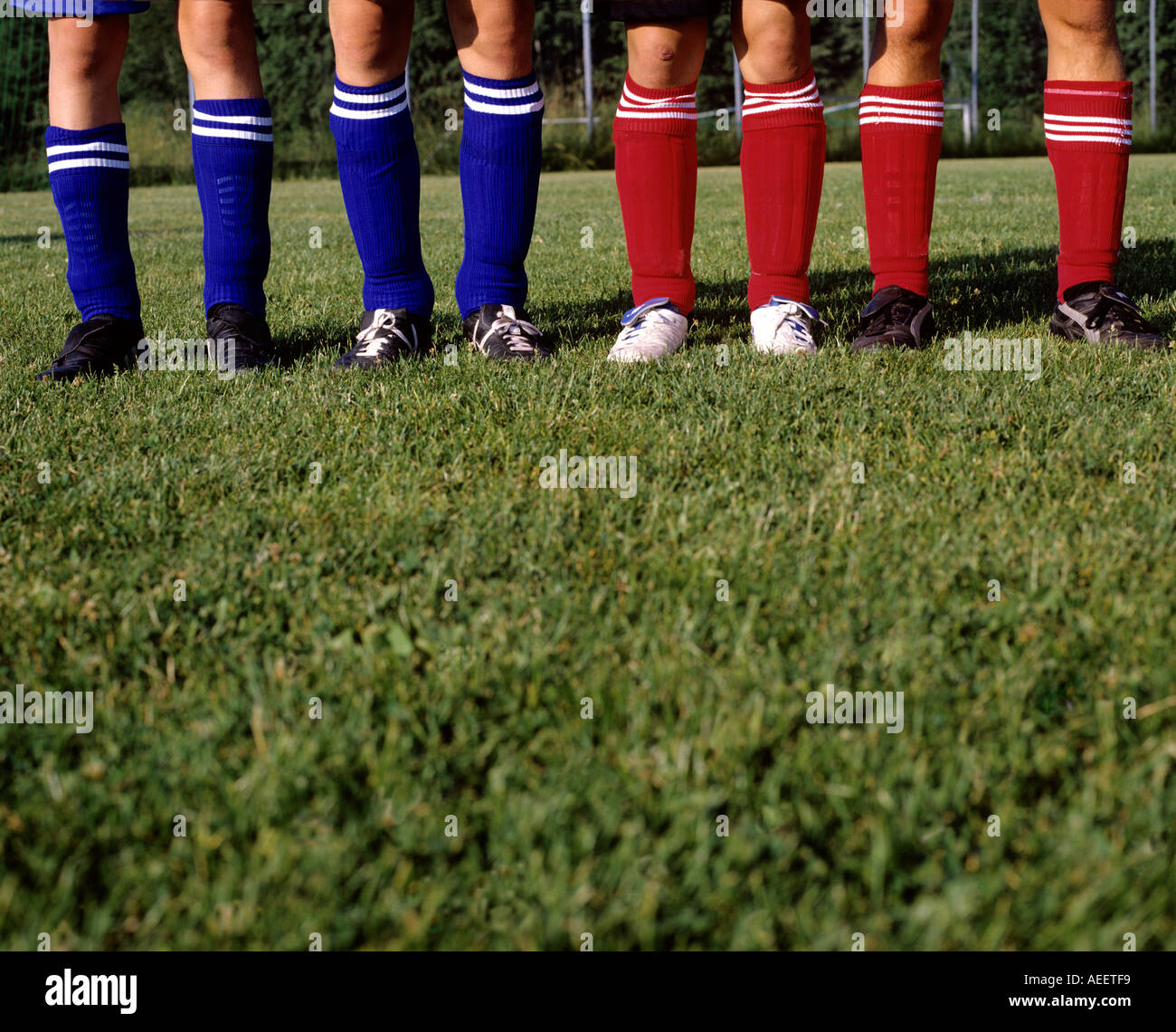 legs of football players in close up Stock Photo - Alamy