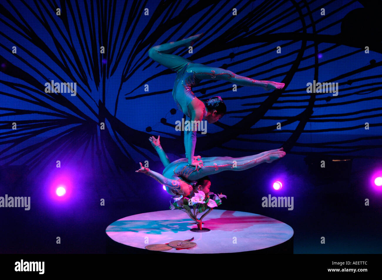 Luisita The Strongest Female Acrobat