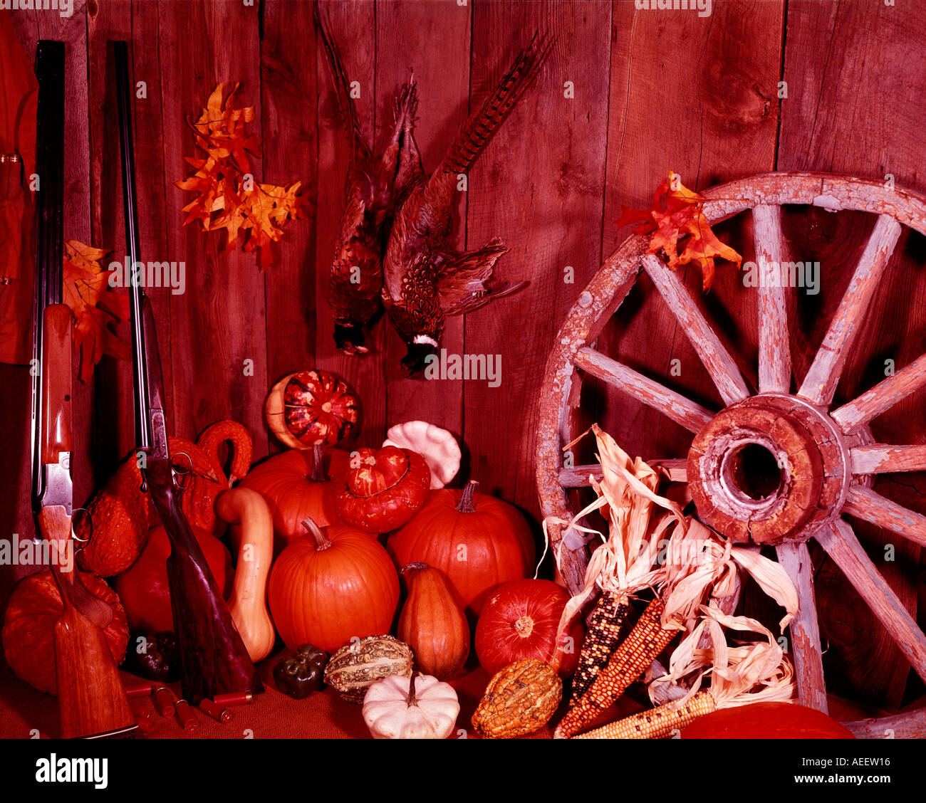 Hunting and harvest still life featuring a brace of pheasant hunting ...