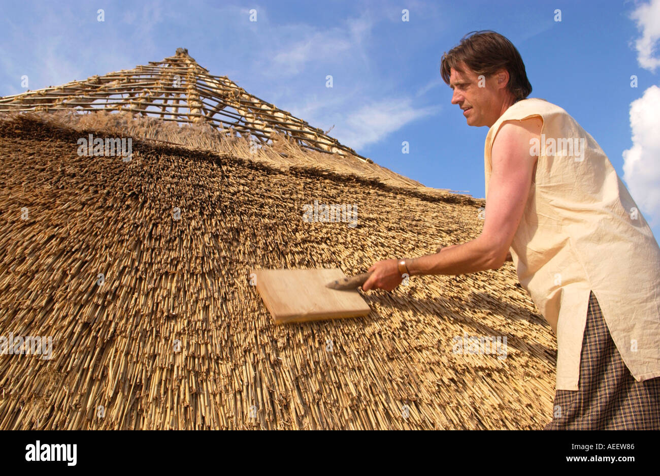 Thatching roof of Iron Age roundhouse being built using traditional ...