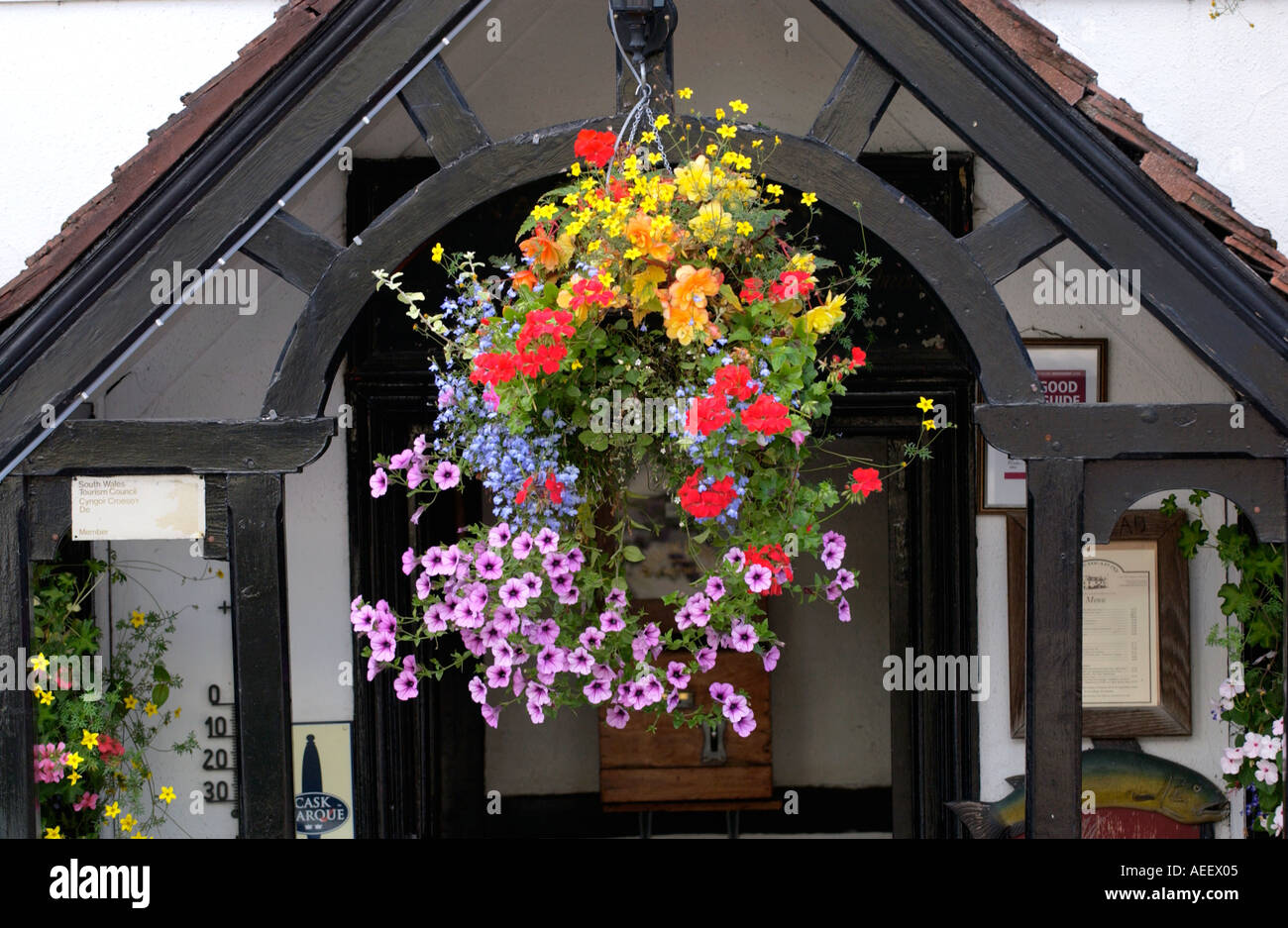 Usk In Bloom High Resolution Stock Photography and Images - Alamy