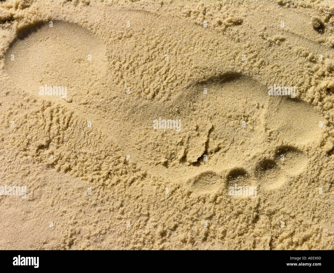 Single right foot hi-res stock photography and images - Alamy