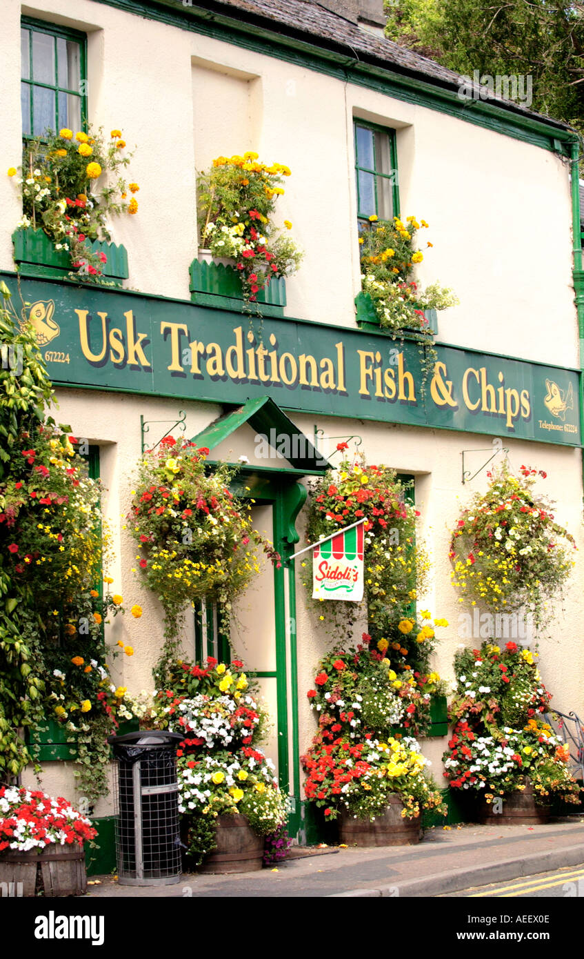 Usk In Bloom High Resolution Stock Photography and Images - Alamy