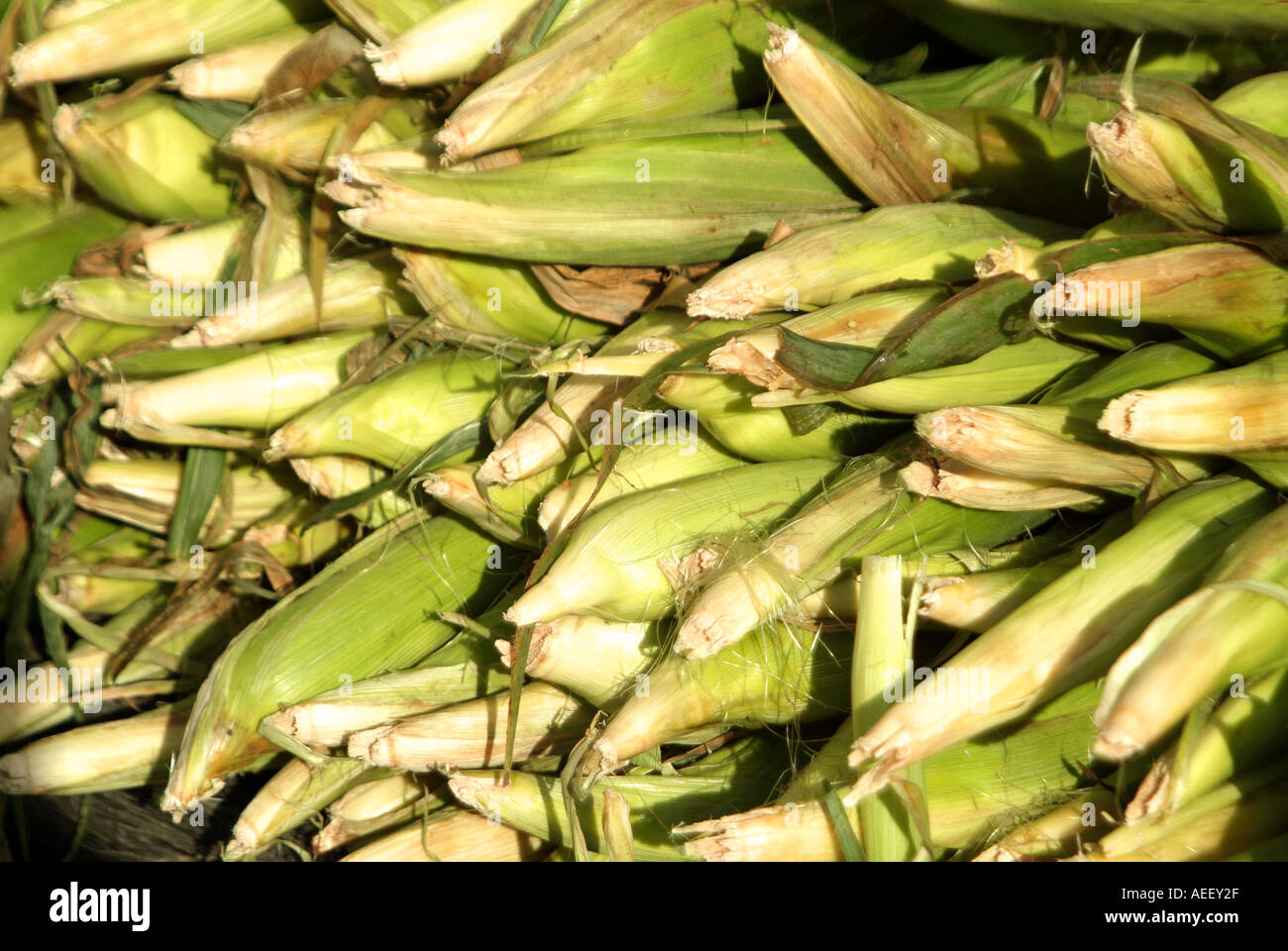 Corn in an outdoor market Stock Photo - Alamy