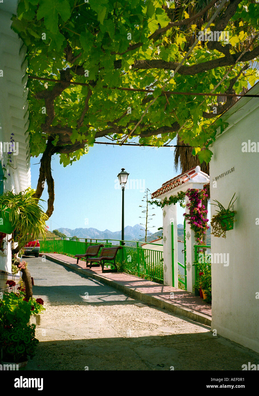 A narrow laneway overhung by a grape vine leading into the hill village ...