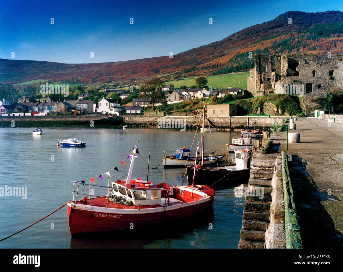 Carlingford ireland hi-res stock photography and images - Alamy