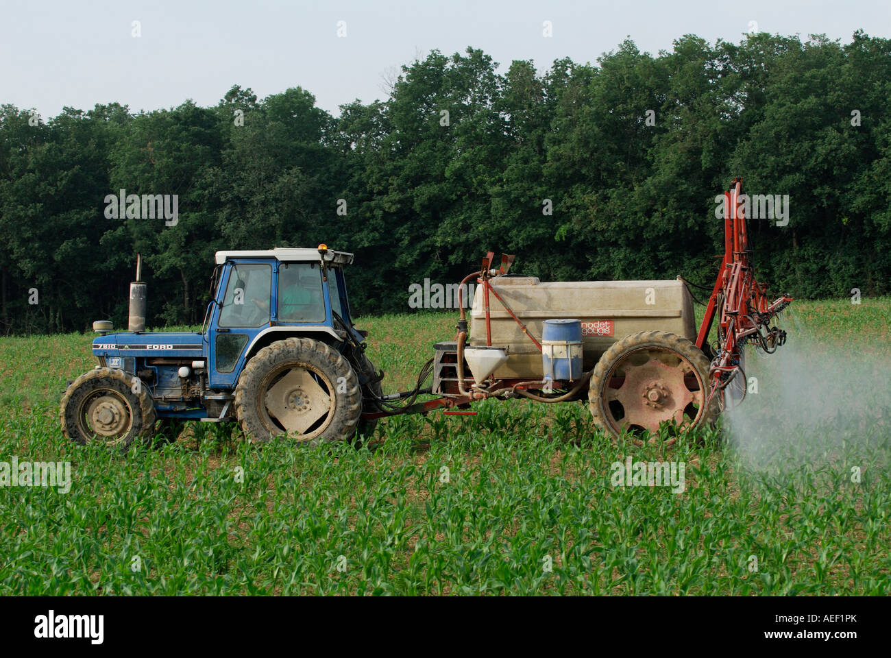 Farmer spraying Maize crop, sud-Touraine, France Stock Photo - Alamy