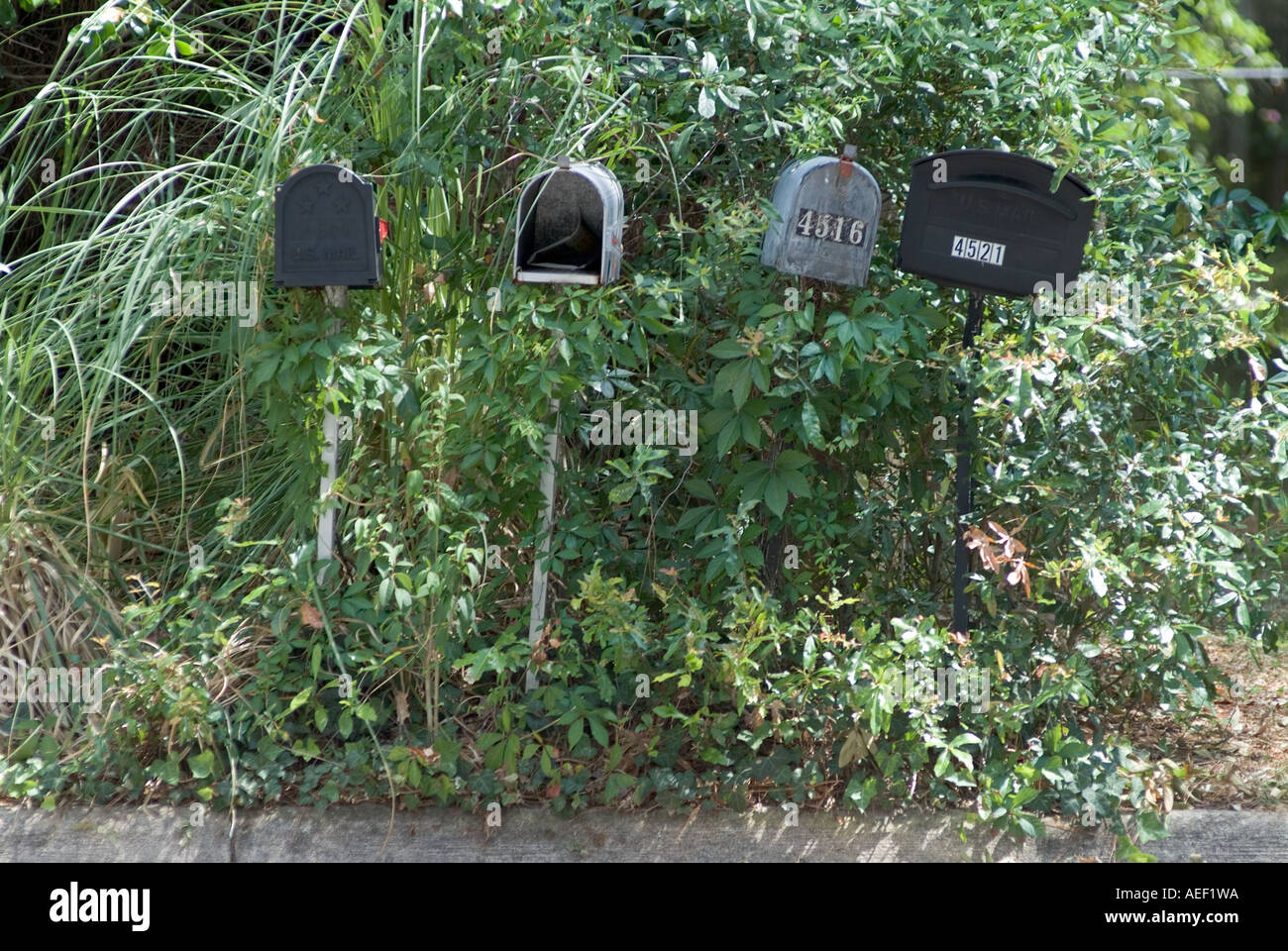 Overgrown mailboxes hi-res stock photography and images - Alamy