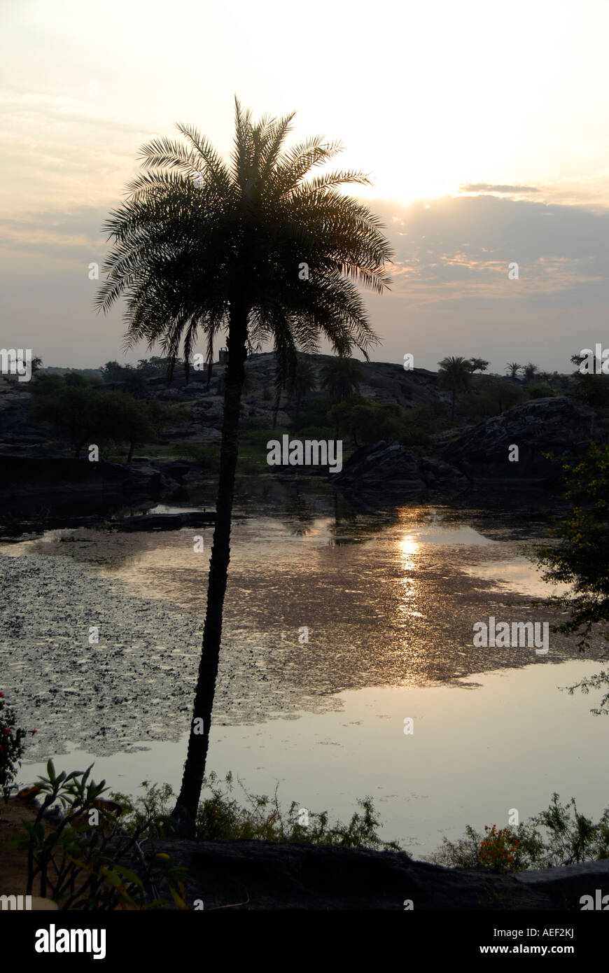 Spectacular sideshow performers hi-res stock photography and images - Alamy