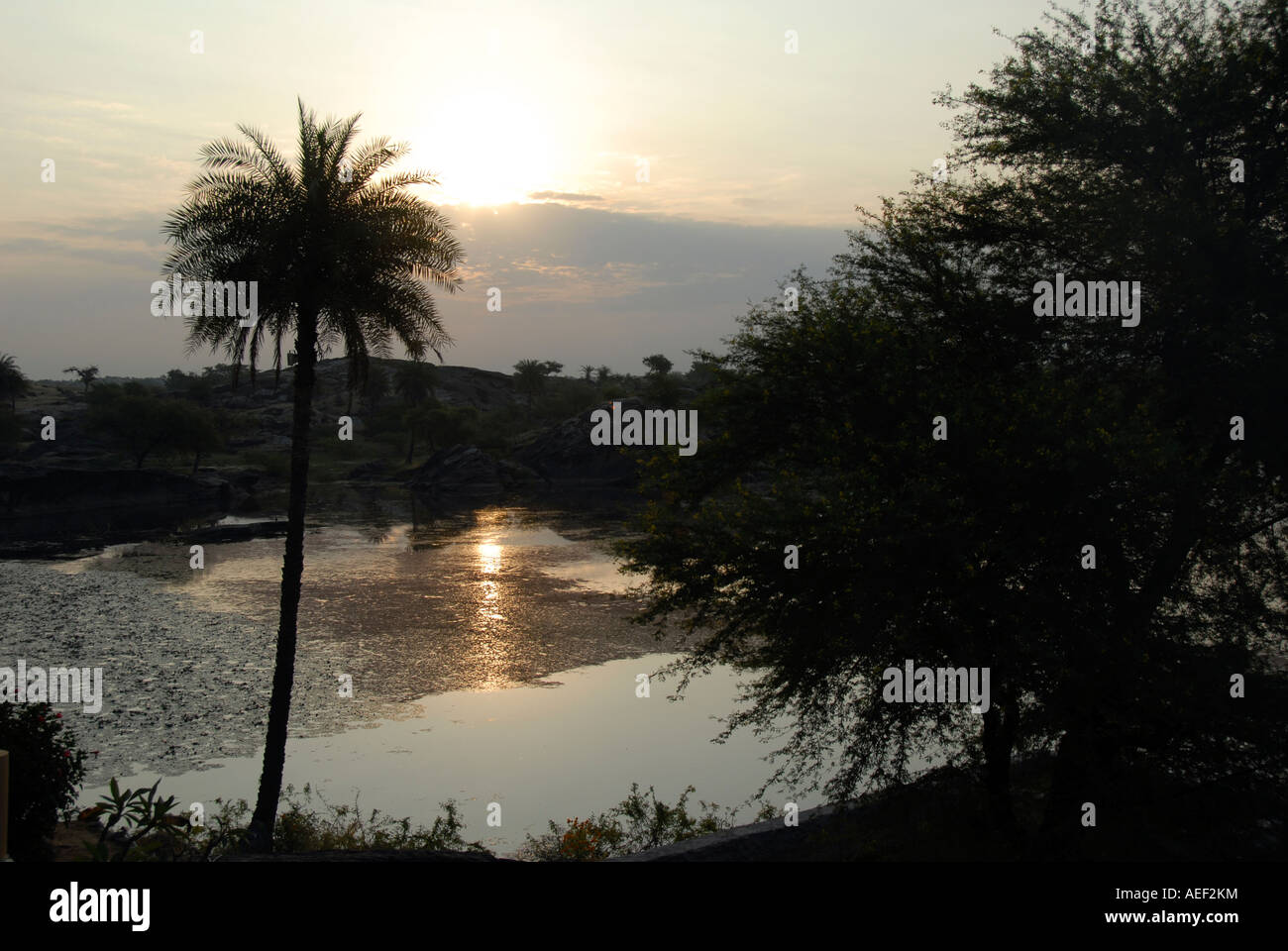 Miniature painting india water hi-res stock photography and images - Alamy