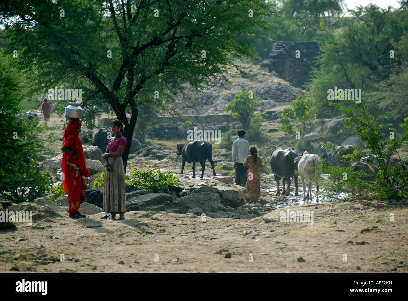 Children from udaipur hi-res stock photography and images - Alamy