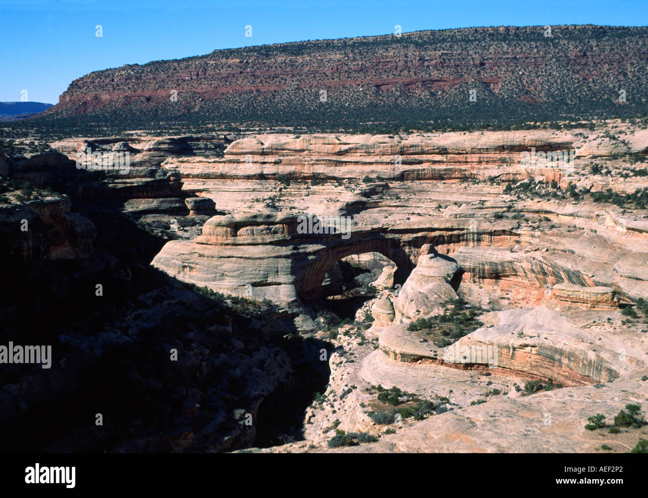 Natural Bridges National Monument Utah Stock Photo - Alamy