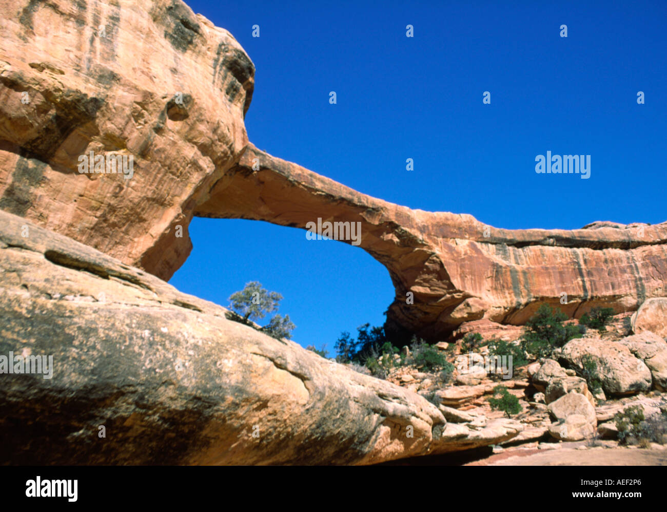 Natural Bridges National Monument Utah Stock Photo - Alamy