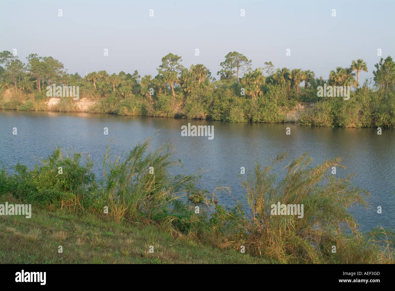 C 44 C44 canal Okeechobee Waterway Martin County South Florida Stock ...