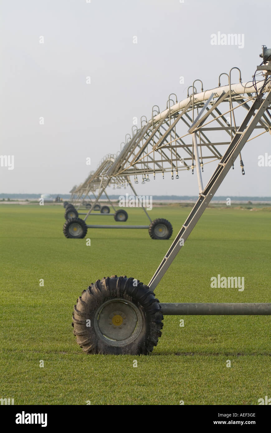 automated circular rotating center pivot irrigation system sod farming ...