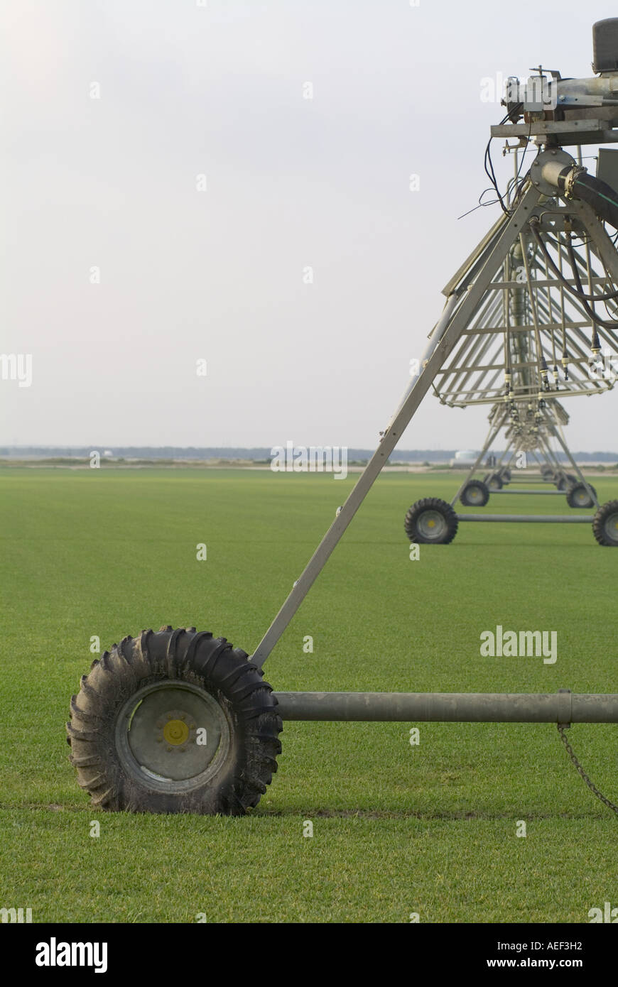 automated circular rotating center pivot irrigation system sod farming ...