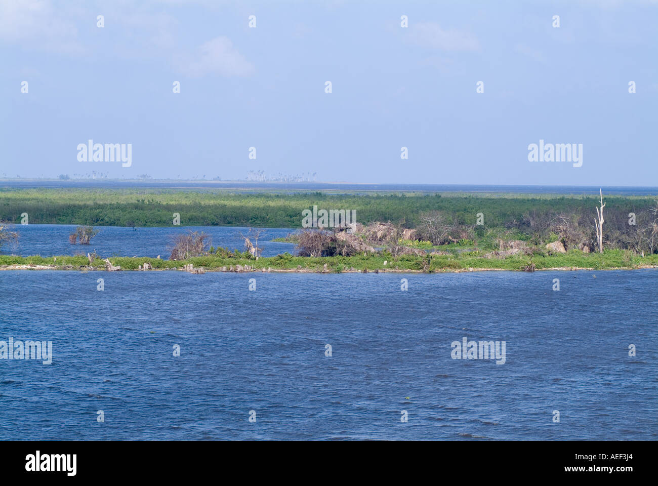 Lake Okeechobee South end Okeechobee Waterway Florida Stock Photo - Alamy