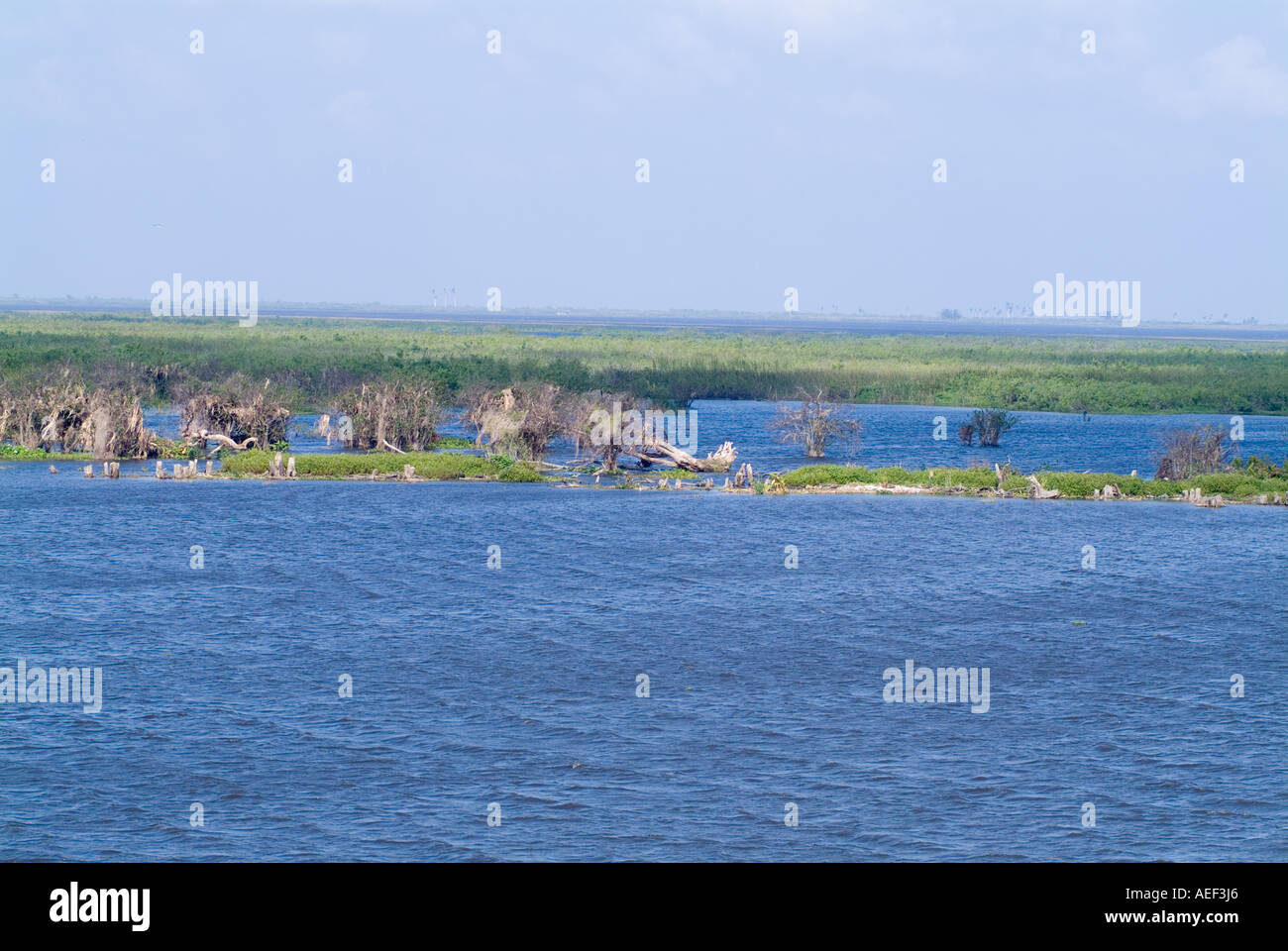 Lake Okeechobee South end Okeechobee Waterway Florida Stock Photo - Alamy