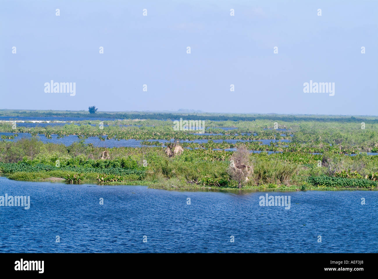 Lake Okeechobee South end Okeechobee Waterway Florida Stock Photo - Alamy