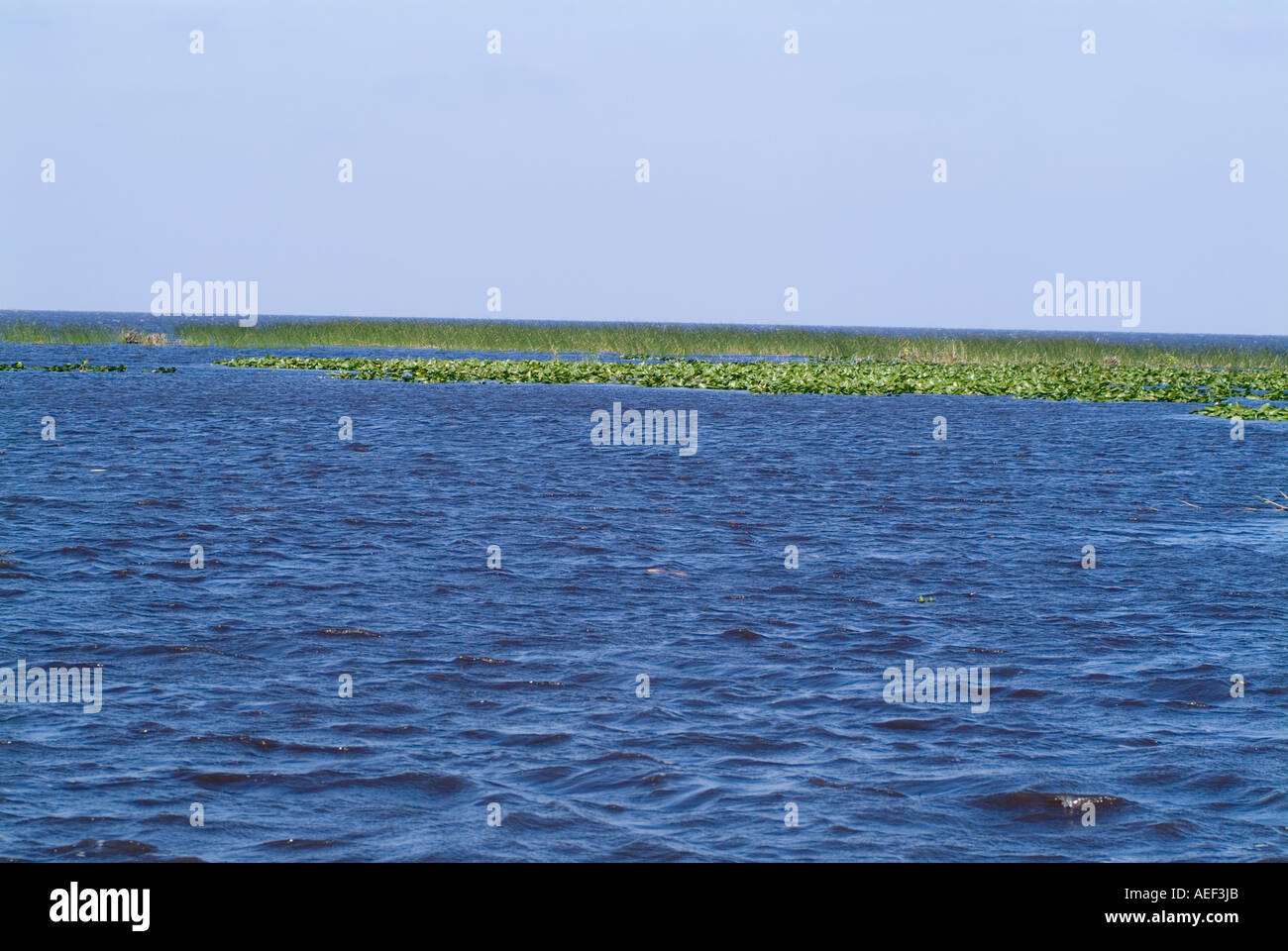 Lake Okeechobee South end Okeechobee Waterway Florida Stock Photo - Alamy