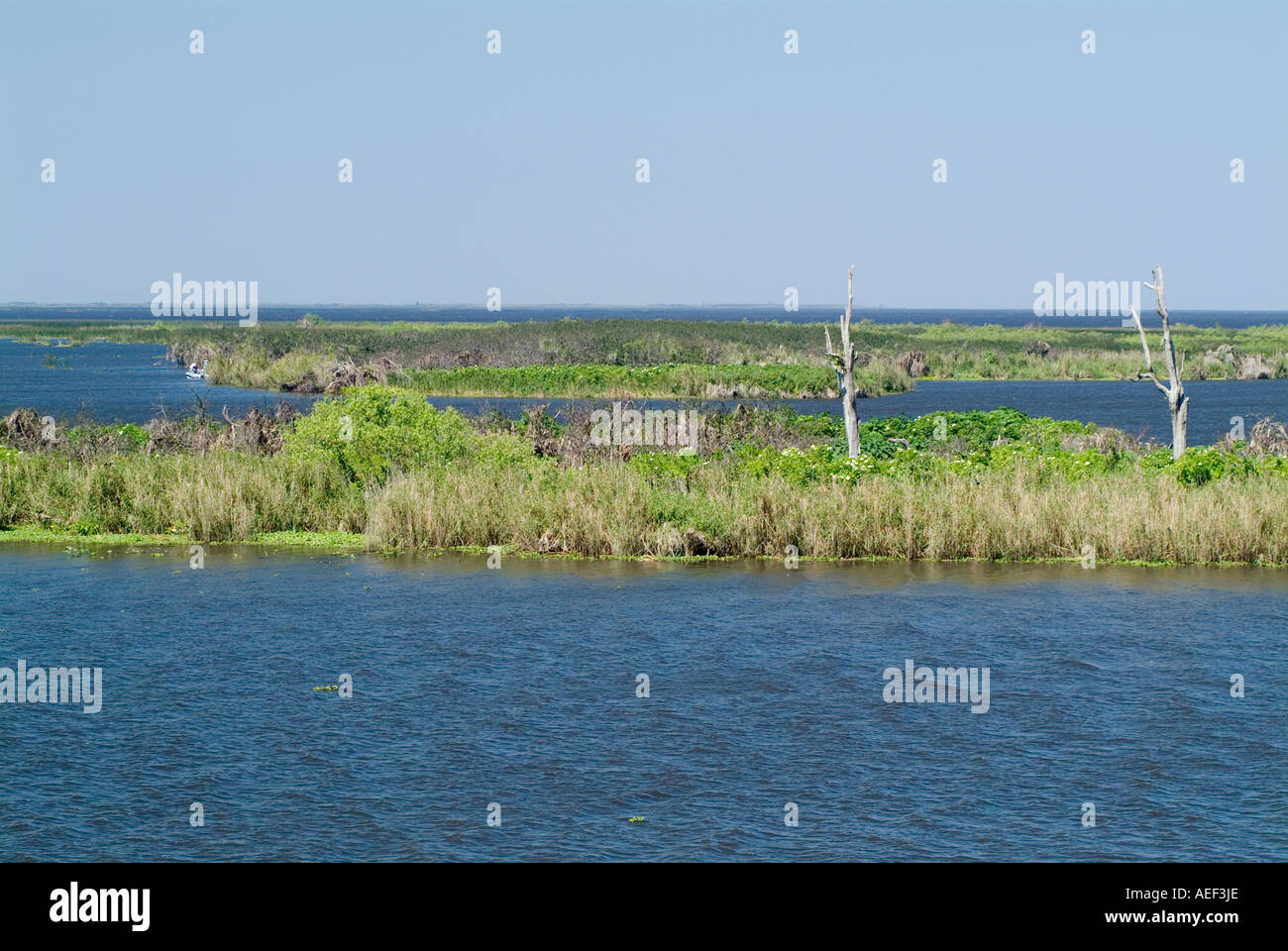 Lake Okeechobee South end Okeechobee Waterway Florida Stock Photo - Alamy