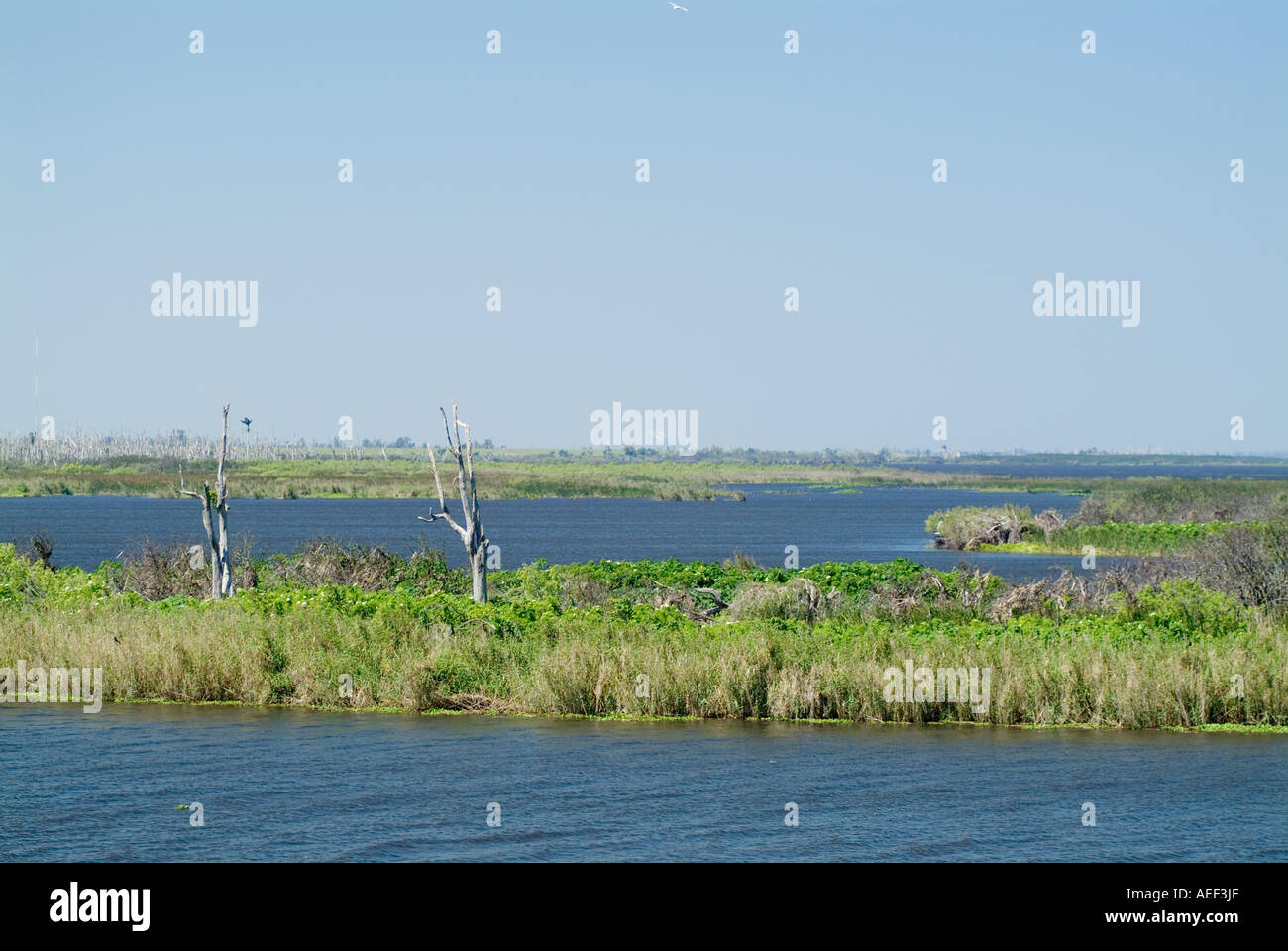 Okeechobee waterway hi-res stock photography and images - Alamy