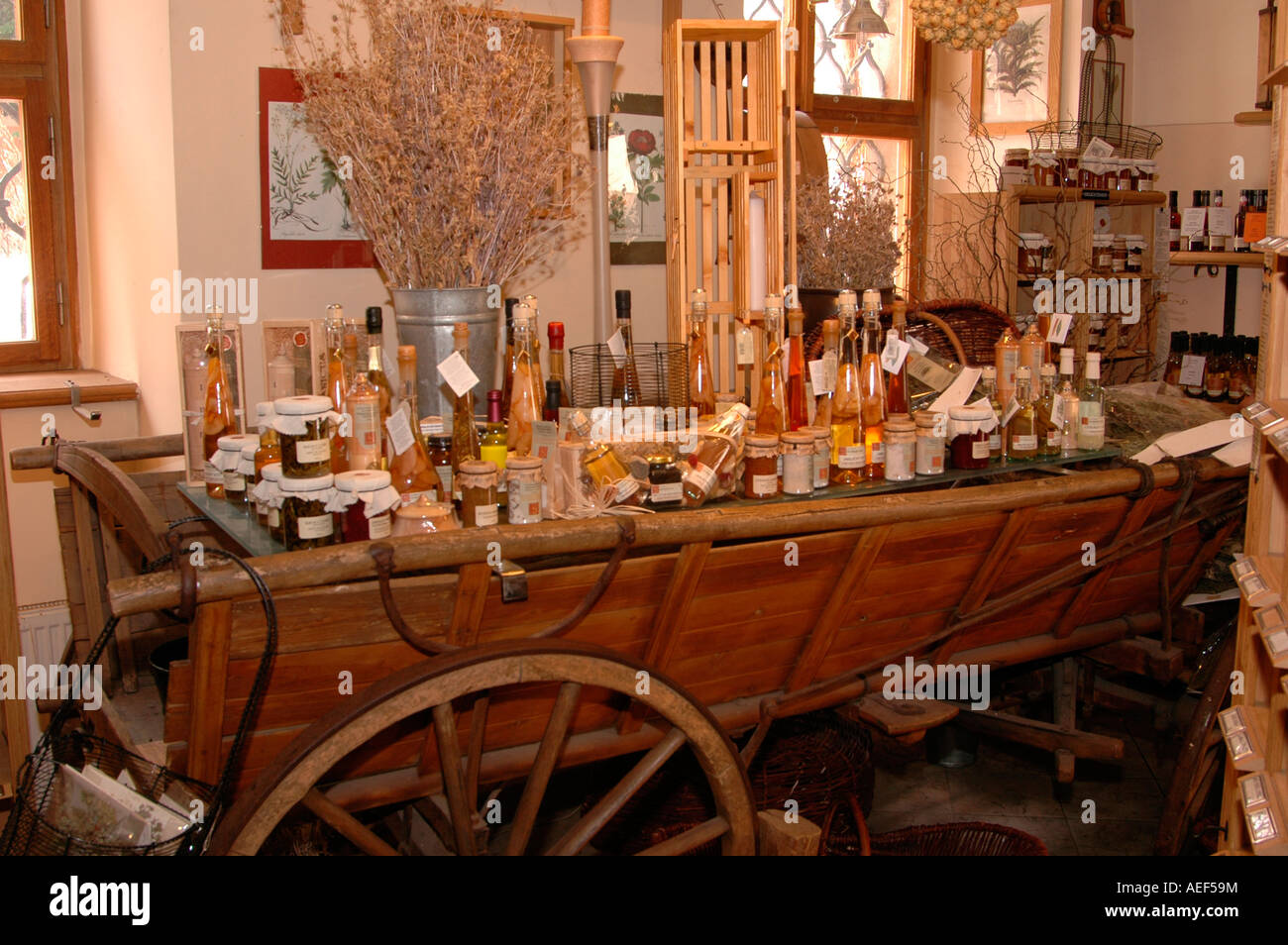 Botanicus prague hi-res stock photography and images - Alamy