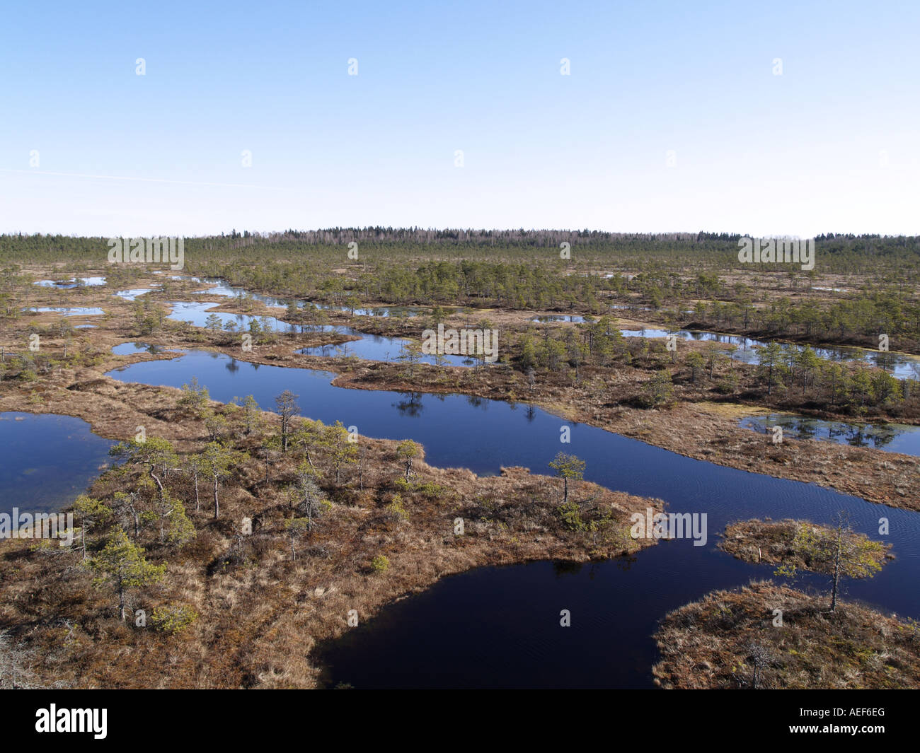 Bog landscape wtih lakes Stock Photo - Alamy