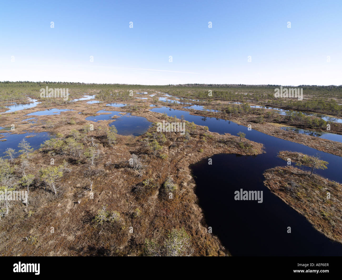Bog landscape with lakes Stock Photo - Alamy