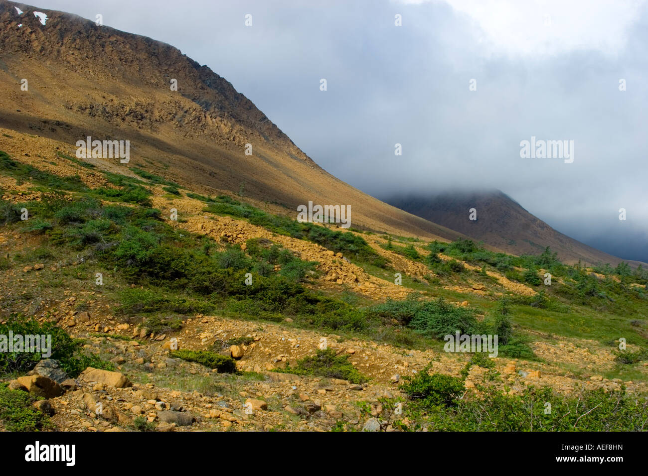 Tablelands Gros Morne National Park Newfoundland Canada Stock Photo - Alamy