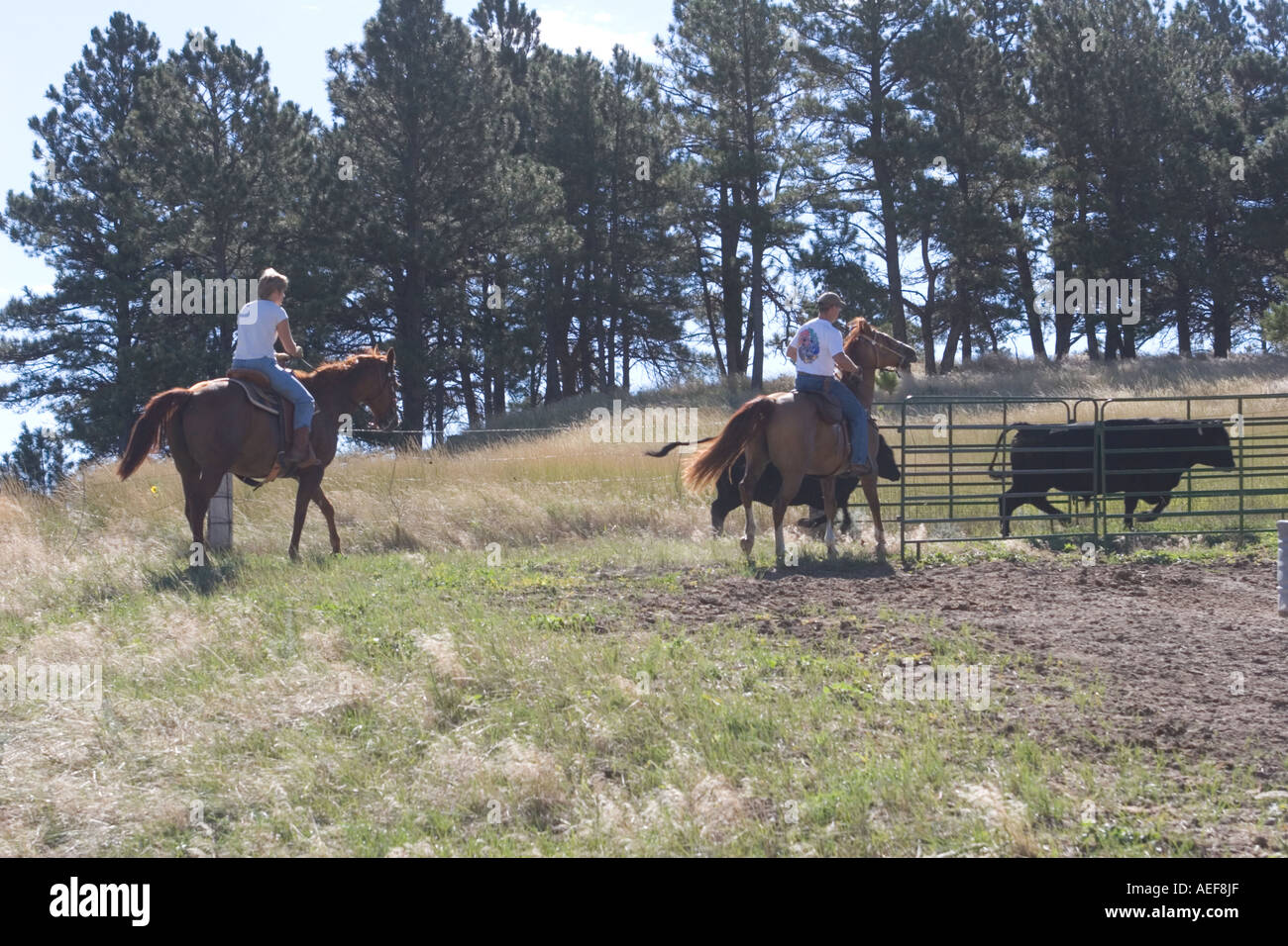 Ranch in nebraska sandhills hi-res stock photography and images - Alamy