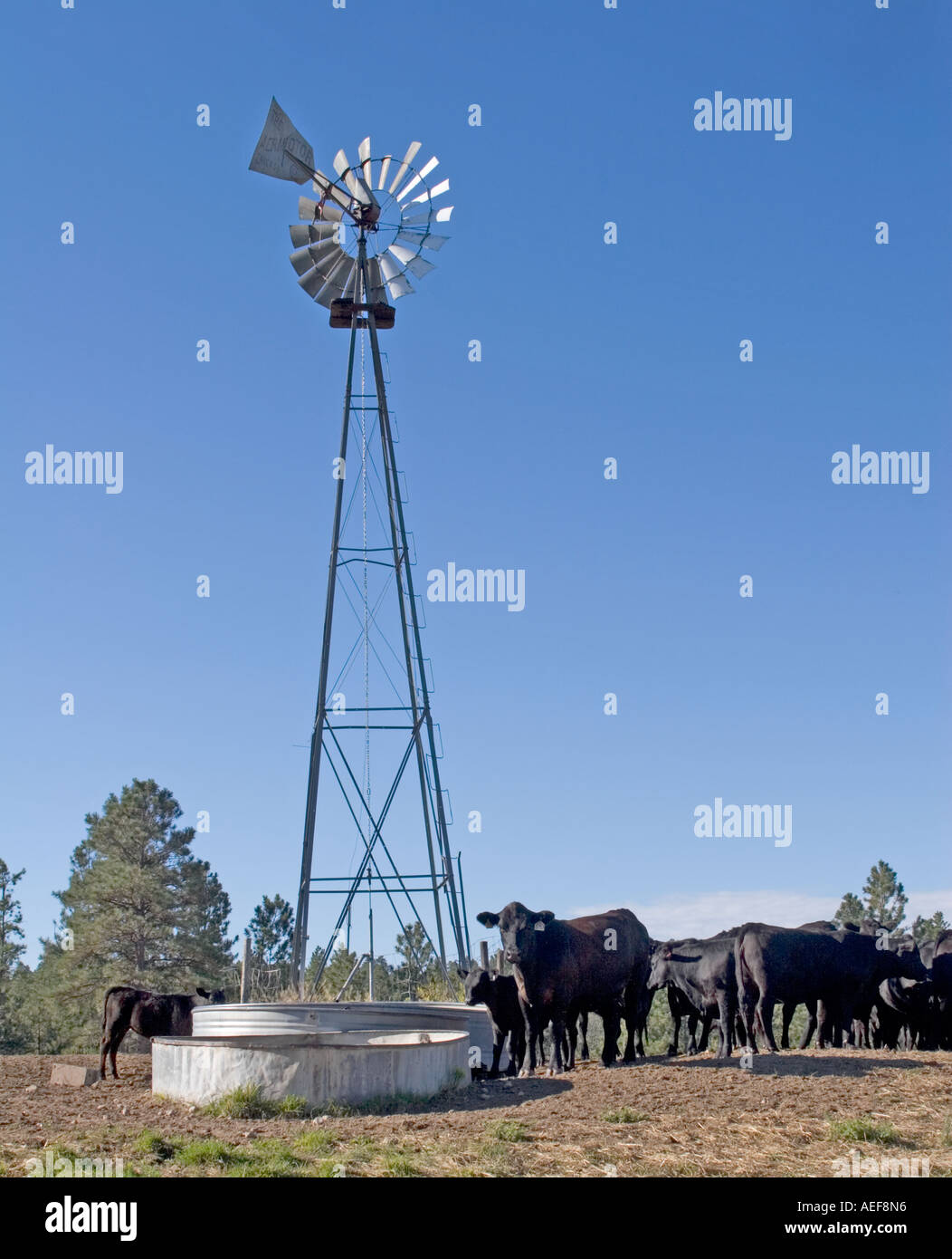 Ranch in nebraska sandhills hi-res stock photography and images - Alamy