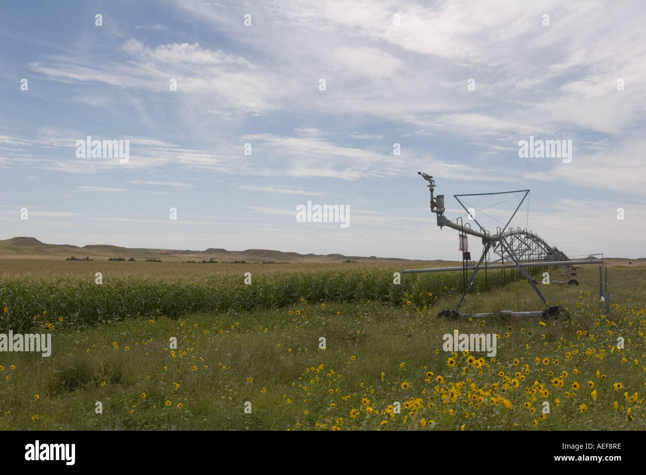 Irrigation of center pivot type in field in rural north western ...
