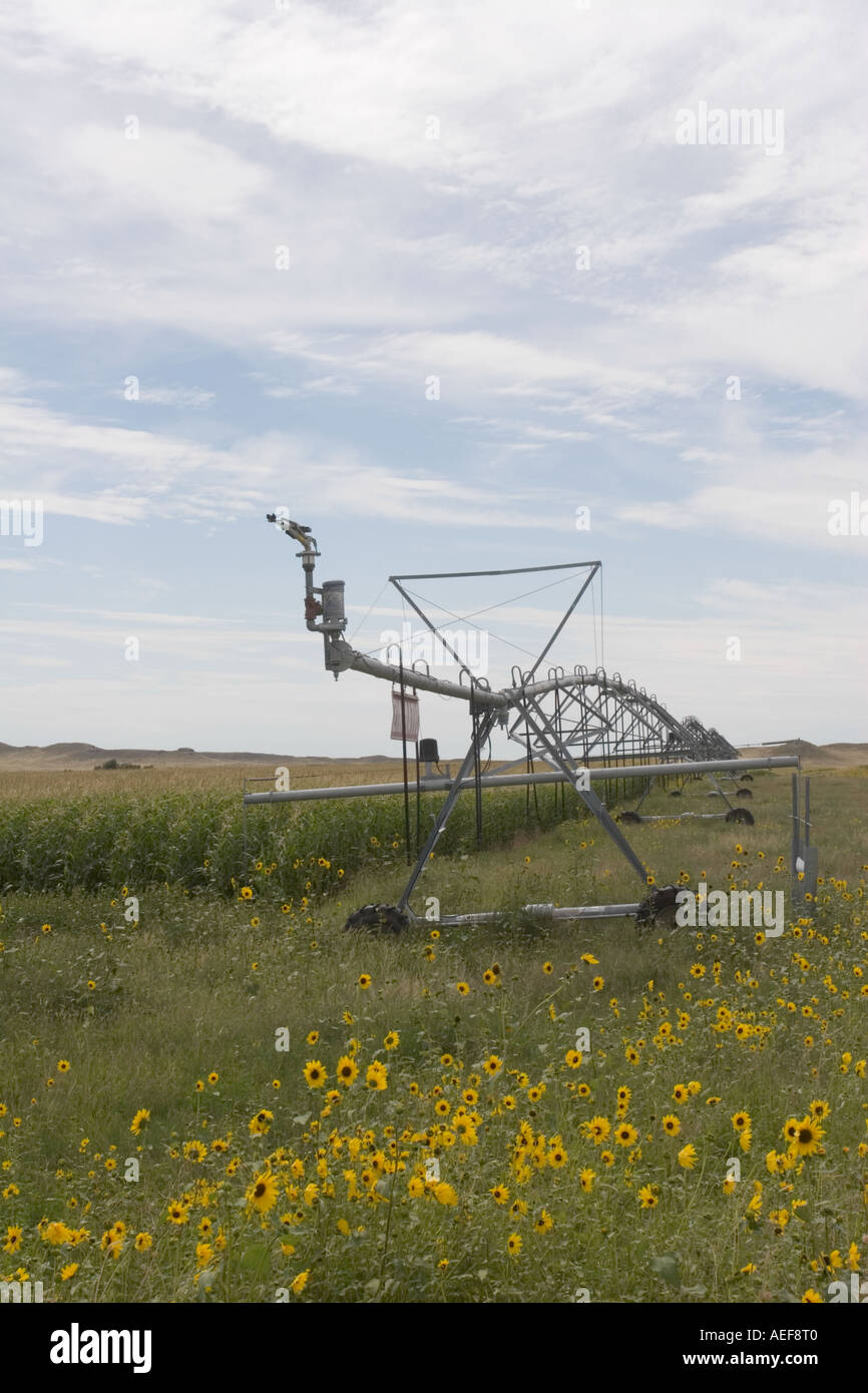 Center pivot irrigation nebraska hi-res stock photography and images ...