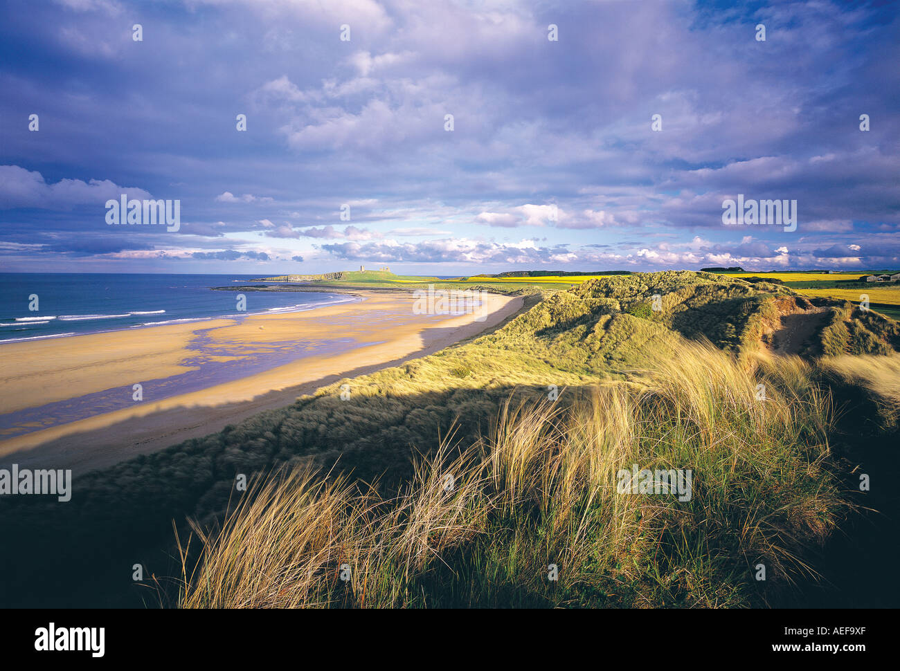 Embleton Bay, Northumberland coast, UK Stock Photo - Alamy