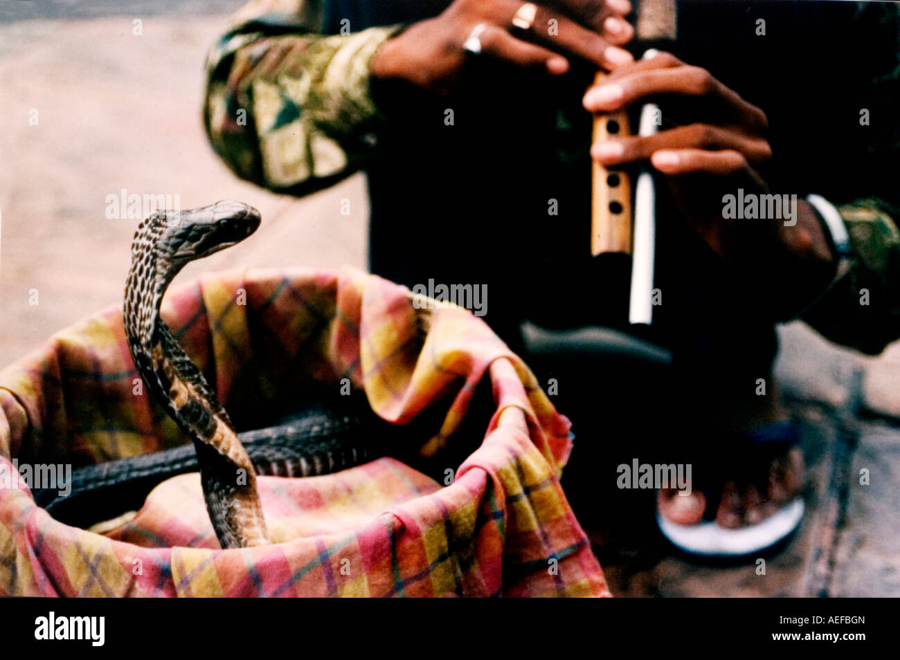 Man Playing Snake High Resolution Stock Photography and Images - Alamy
