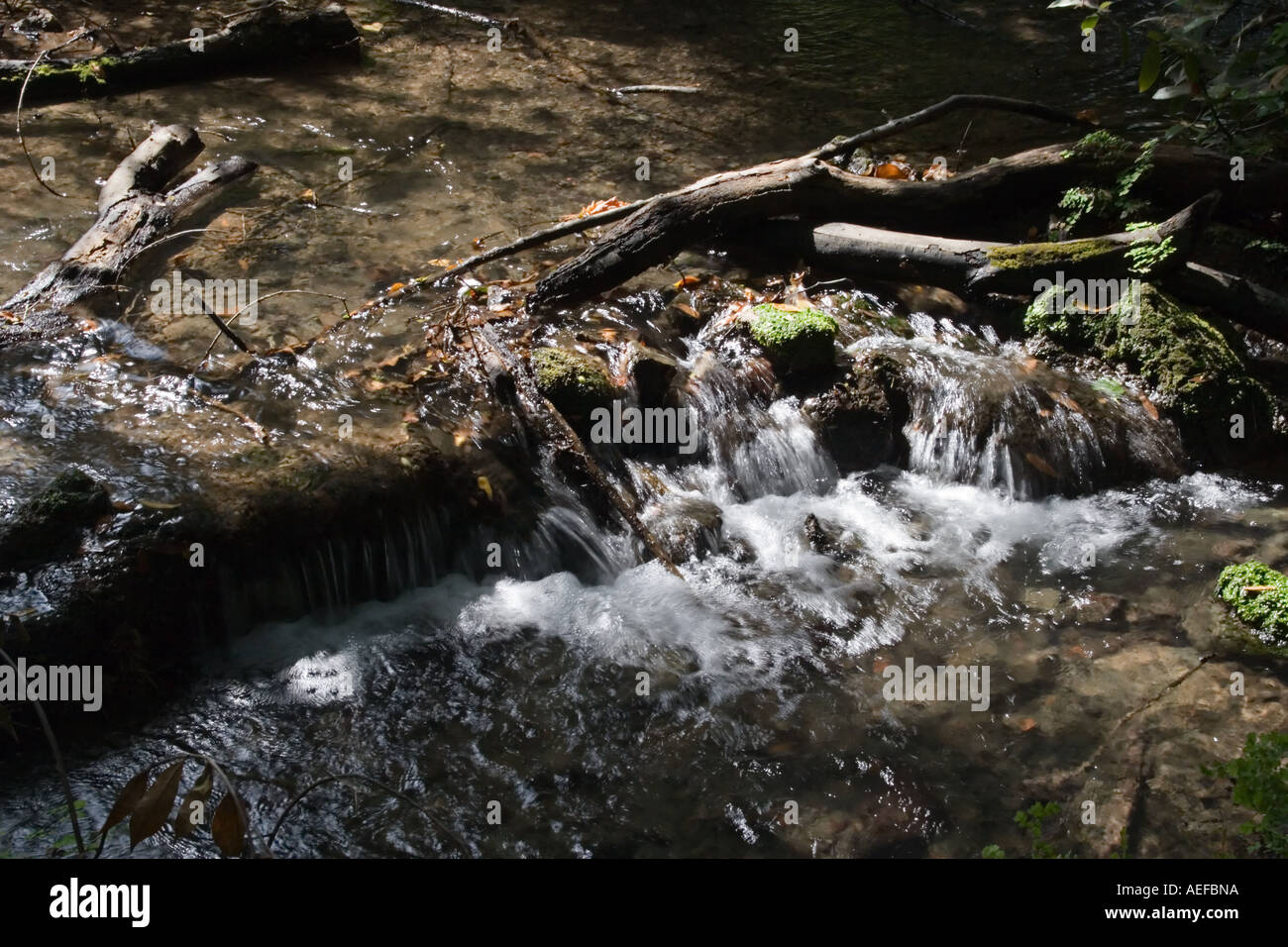 Stock photo of flowing water in a creek feeding the Dan River in the ...